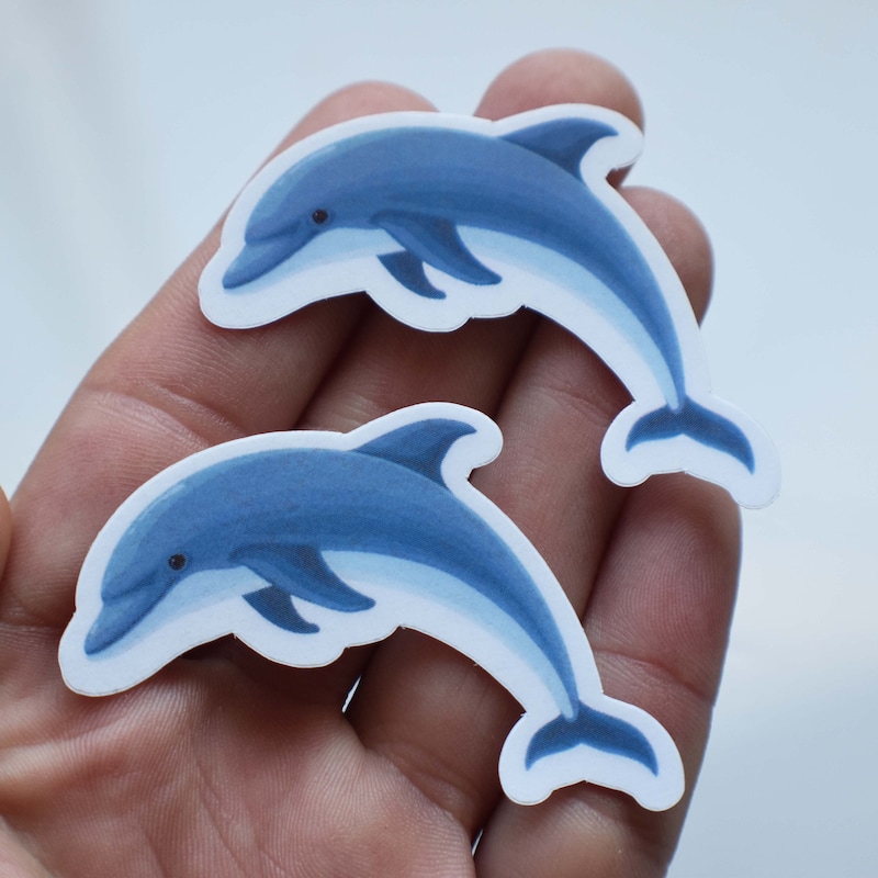 Dolphin Sticker - Etsy