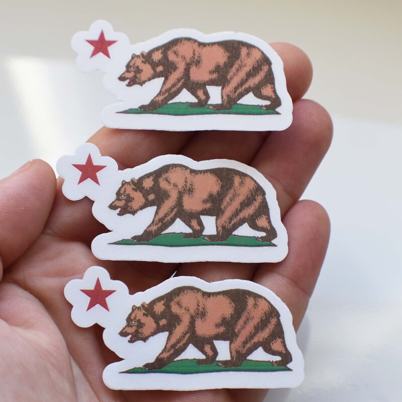 California Bear - Etsy
