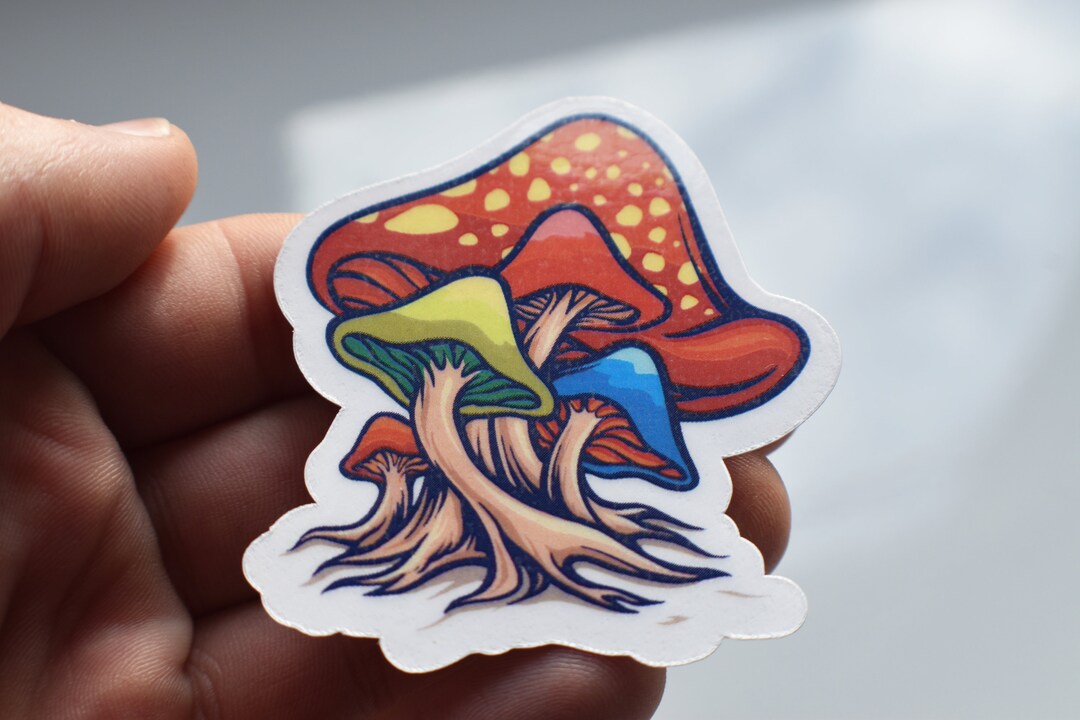 Mushroom Shroom Die Cut Laminated Sticker - Etsy