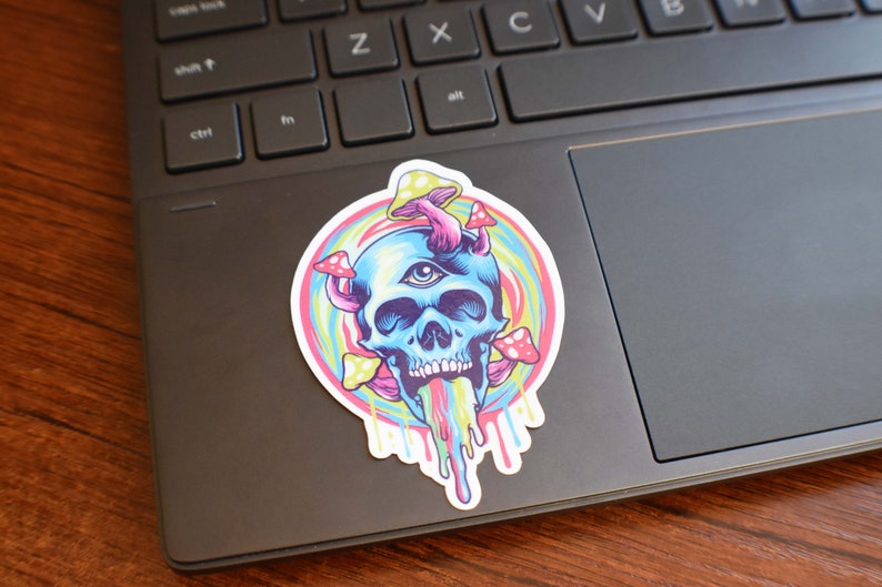 Cool Psychedelic Skull Sticker Pack of 2 Die Cut Laminated - Etsy