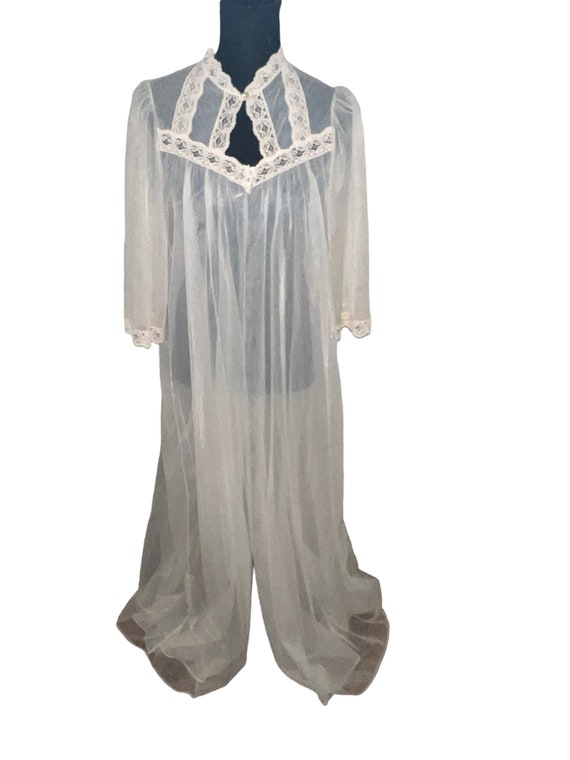 Stunning Sheer Vintage Gem