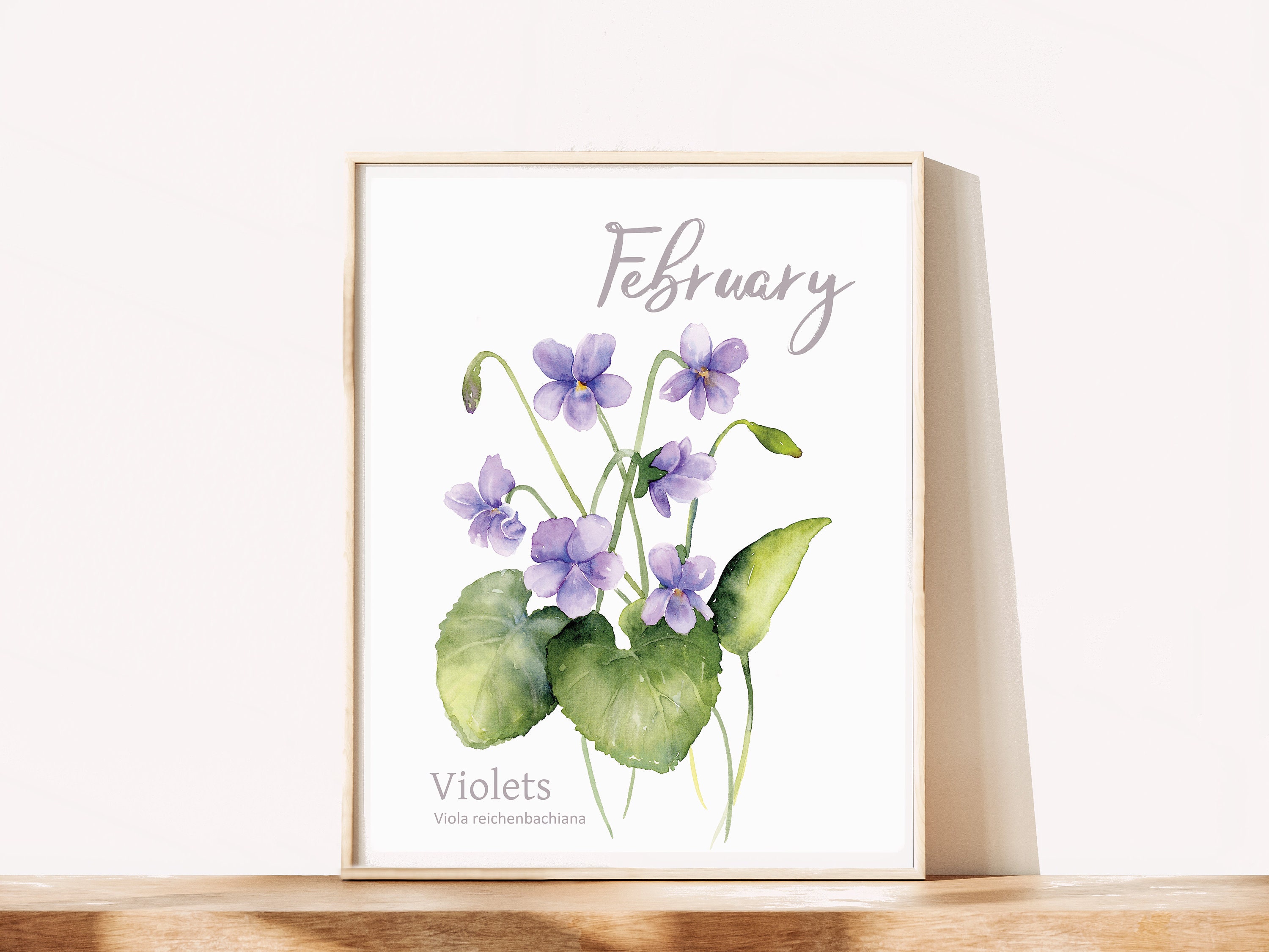 February Birth Month Flower Art Print, Violet Flower Wall Art ...