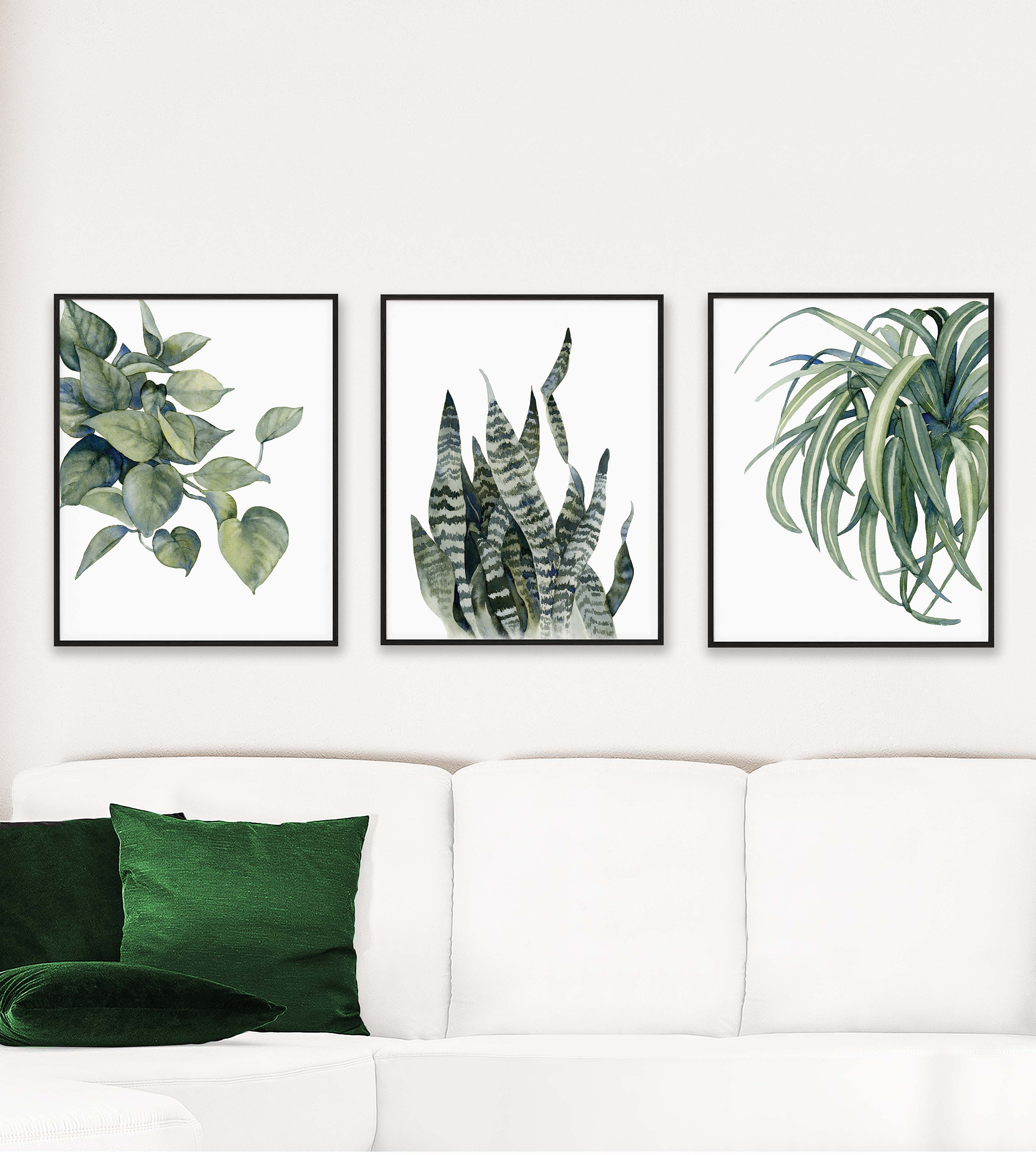 Set of 3 Prints Houseplant Art Print, Botanical Watercolor Wall Art ...