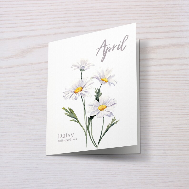 April Birthday Card, Birth Month Flower Greeting Card, Daisies Flower ...