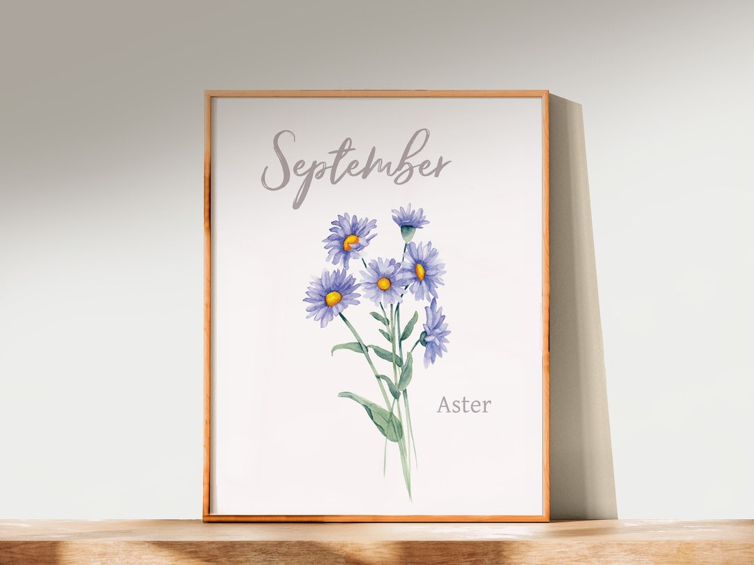September Birth Flower, Aster Wall Art Print, Watercolor Floral ...