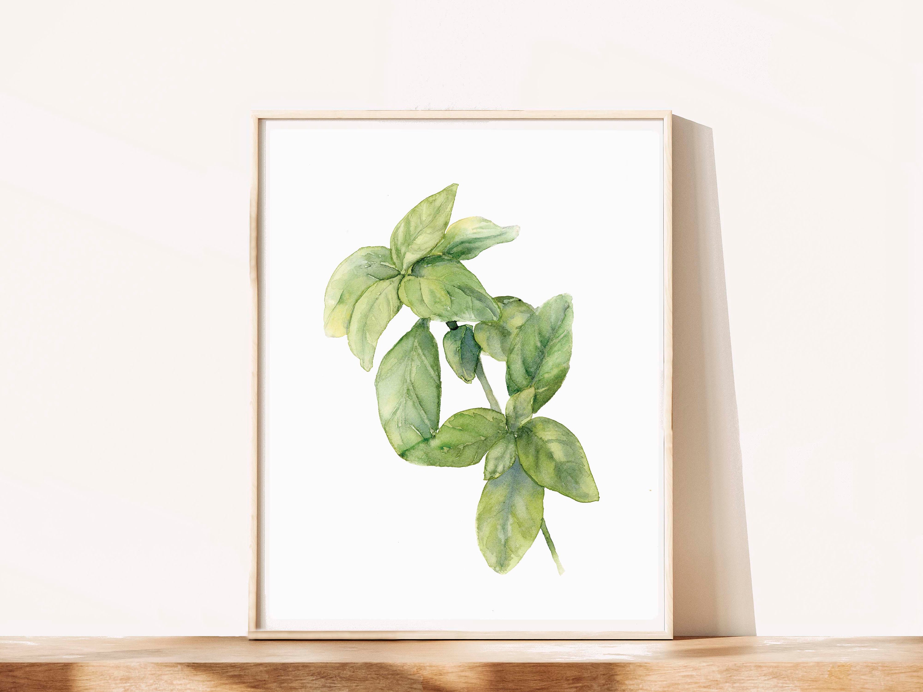 Basil Leaf Artwork