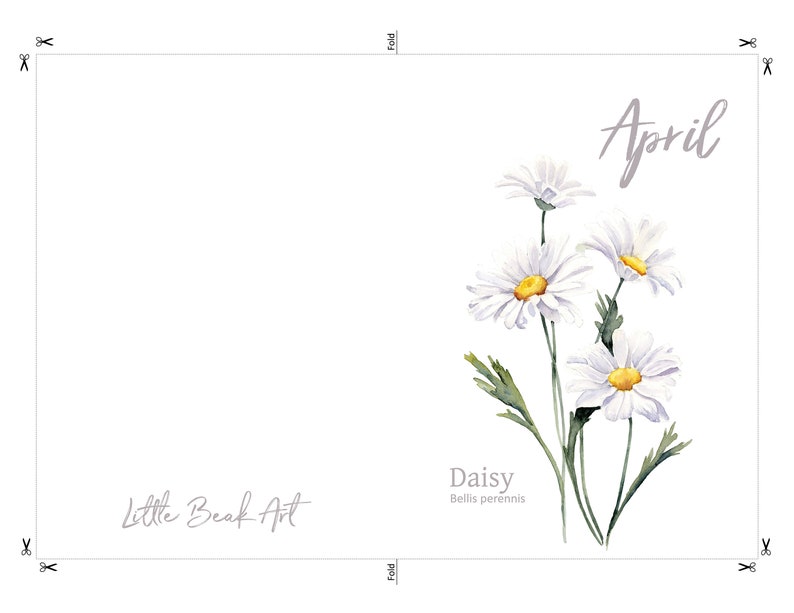 April Birthday Card, Birth Month Flower Greeting Card, Daisies Flower ...