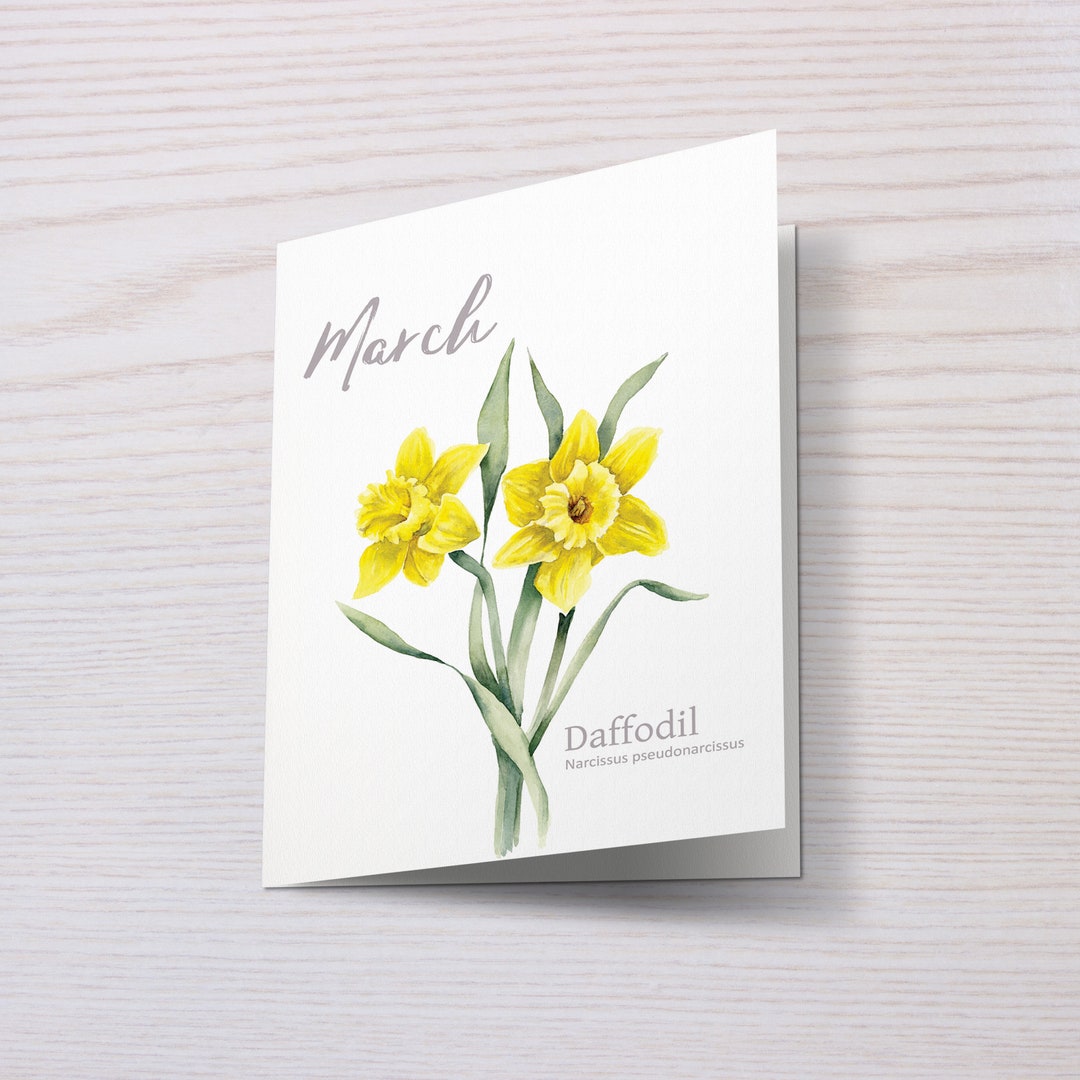 March Birthday Card, Birth Month Flower Greeting Card, Daffodils Flower ...