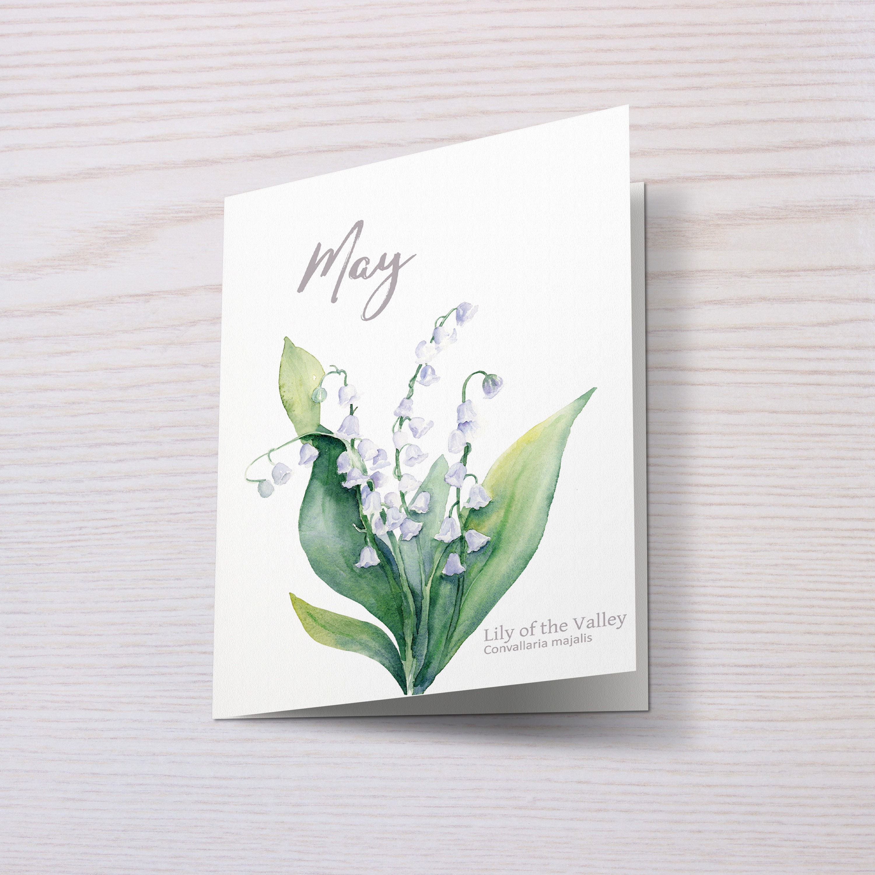 May Birthday Card, Birth Month Flower Greeting Card, Lily of the Valley ...