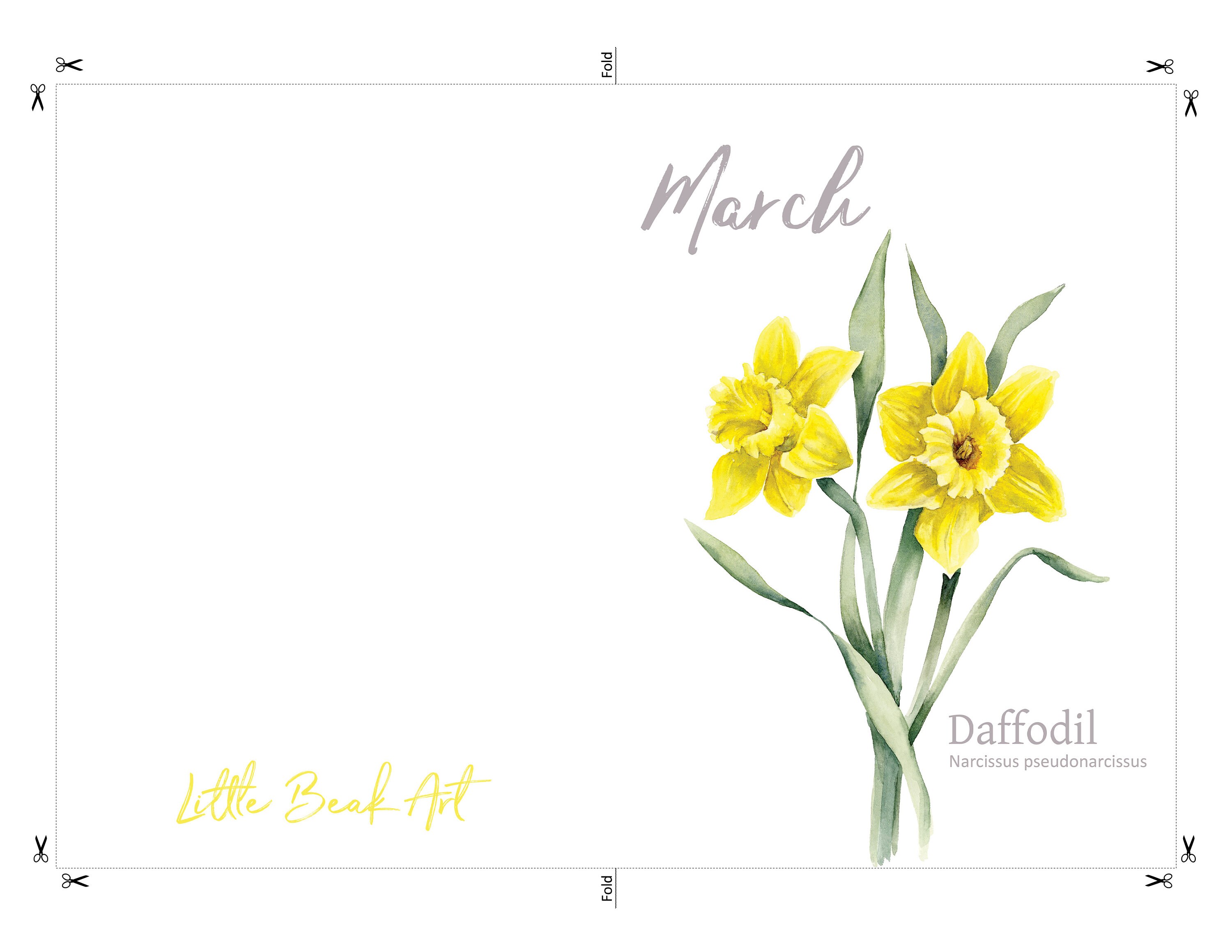 March Birthday Card, Birth Month Flower Greeting Card, Daffodils Flower ...