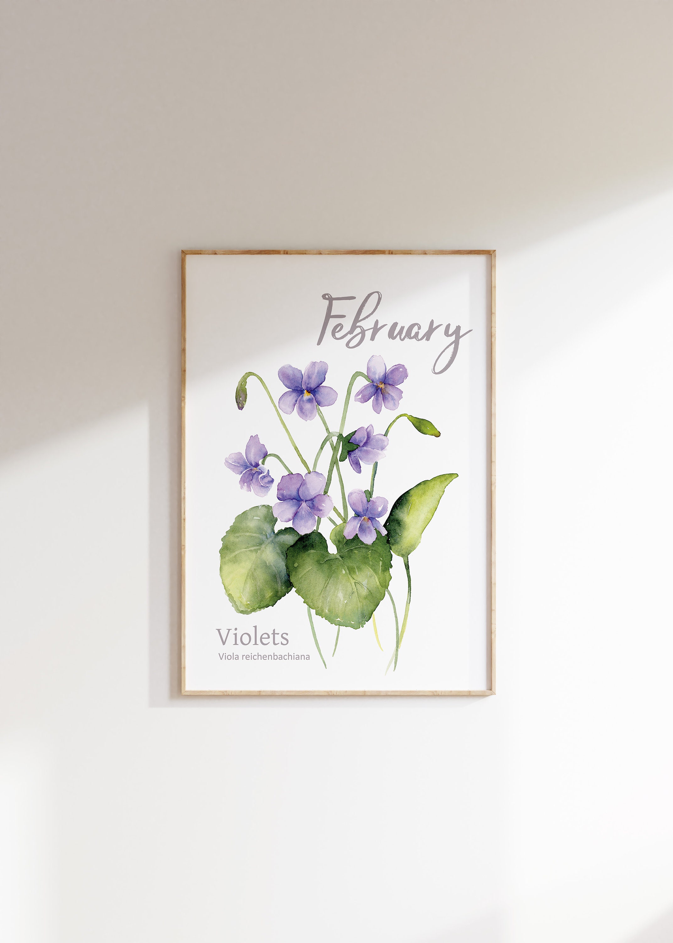 February Birth Month Flower Art Print, Violet Flower Wall Art ...