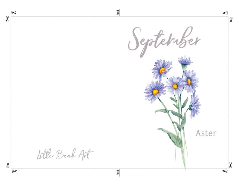 September Birthday Card, Birth Month Flower Greeting Card, Aster Flower ...