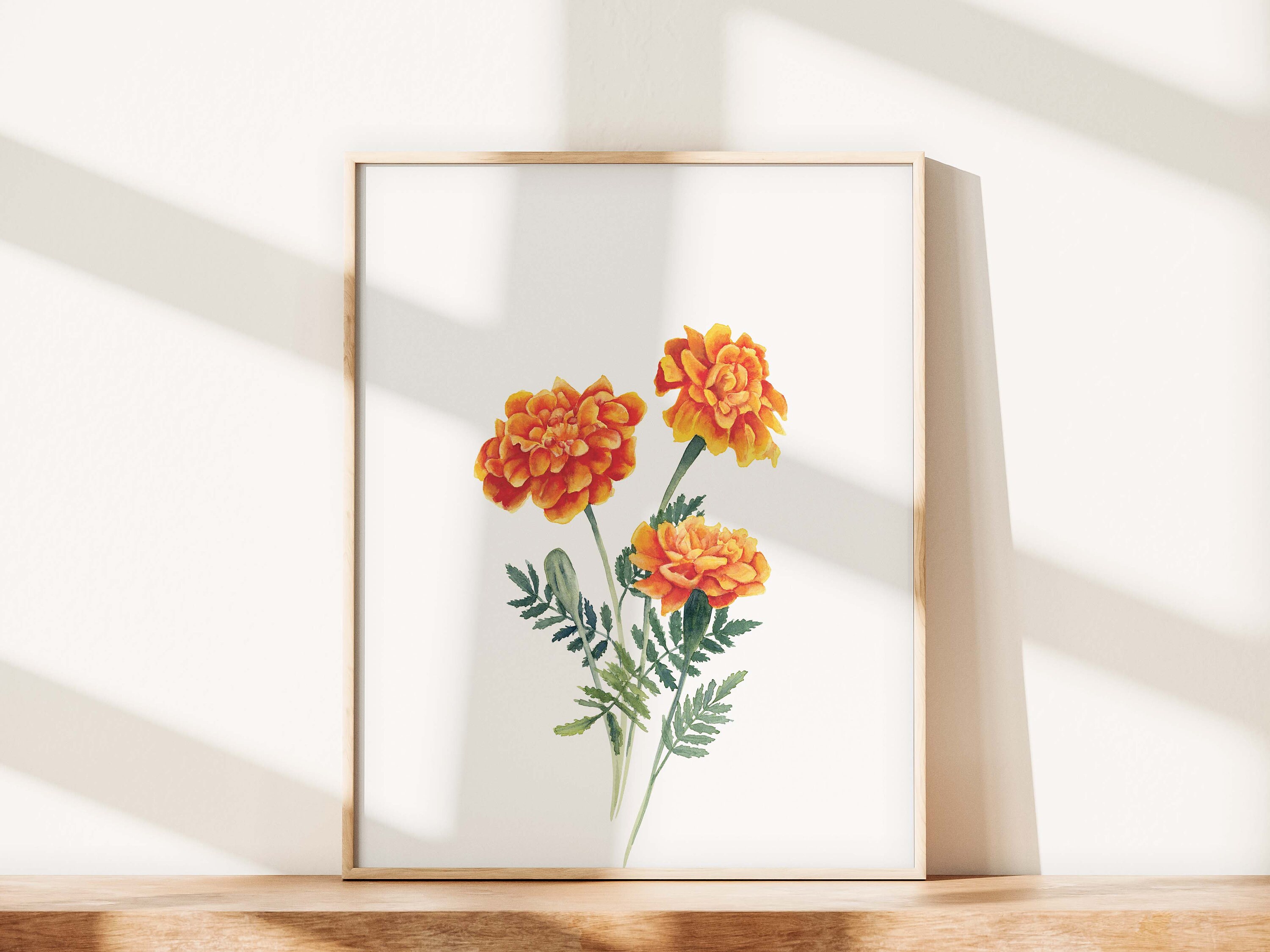 Watercolor Flower Wall Art, Marigold Art Print, October Birth Month ...