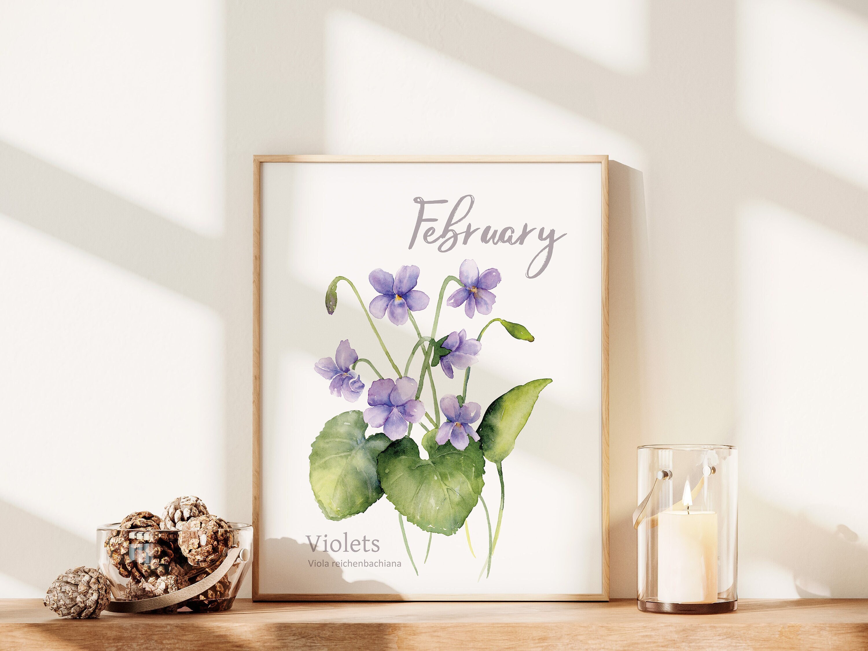 February Birth Month Flower Art Print, Violet Flower Wall Art ...