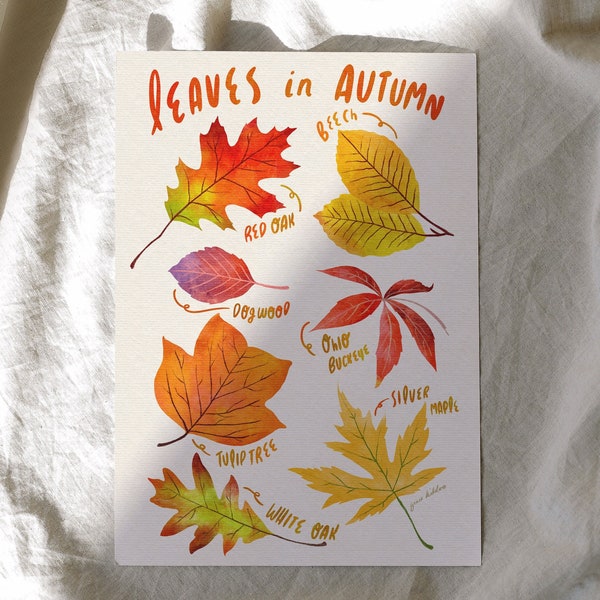 Leaf Identification Print - Etsy