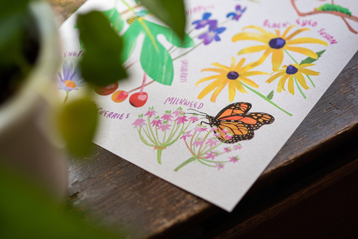 Printable Poster | Midwest Native Pollinator Plants | Educational Wall ...