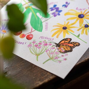 Printable Poster | Midwest Native Pollinator Plants | Educational Wall ...