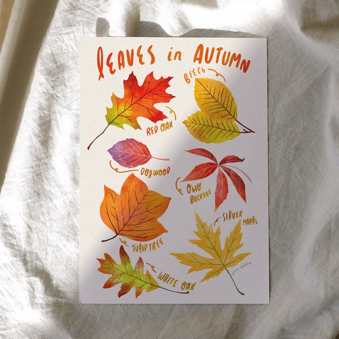 Printable Leaves in Autumn Wall Art | Colorful Leaf Identification ...