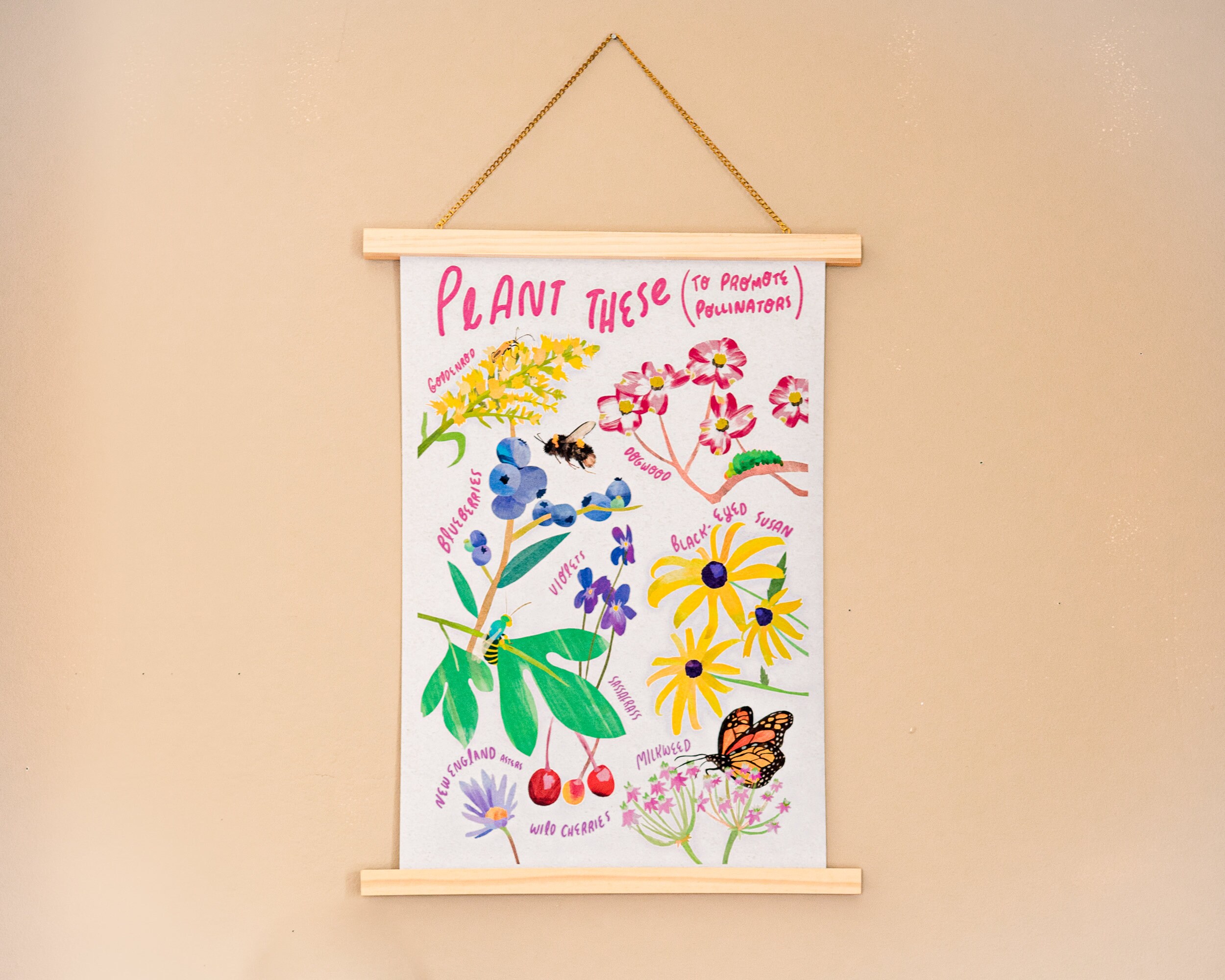 Printable Poster | Midwest Native Pollinator Plants | Educational Wall ...