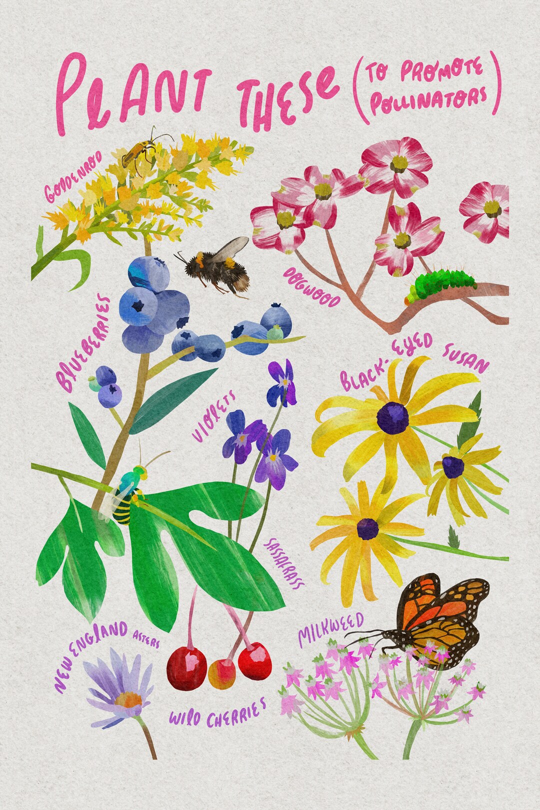 Printable Poster | Midwest Native Pollinator Plants | Educational Wall ...