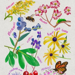 Printable Poster | Midwest Native Pollinator Plants | Educational Wall ...