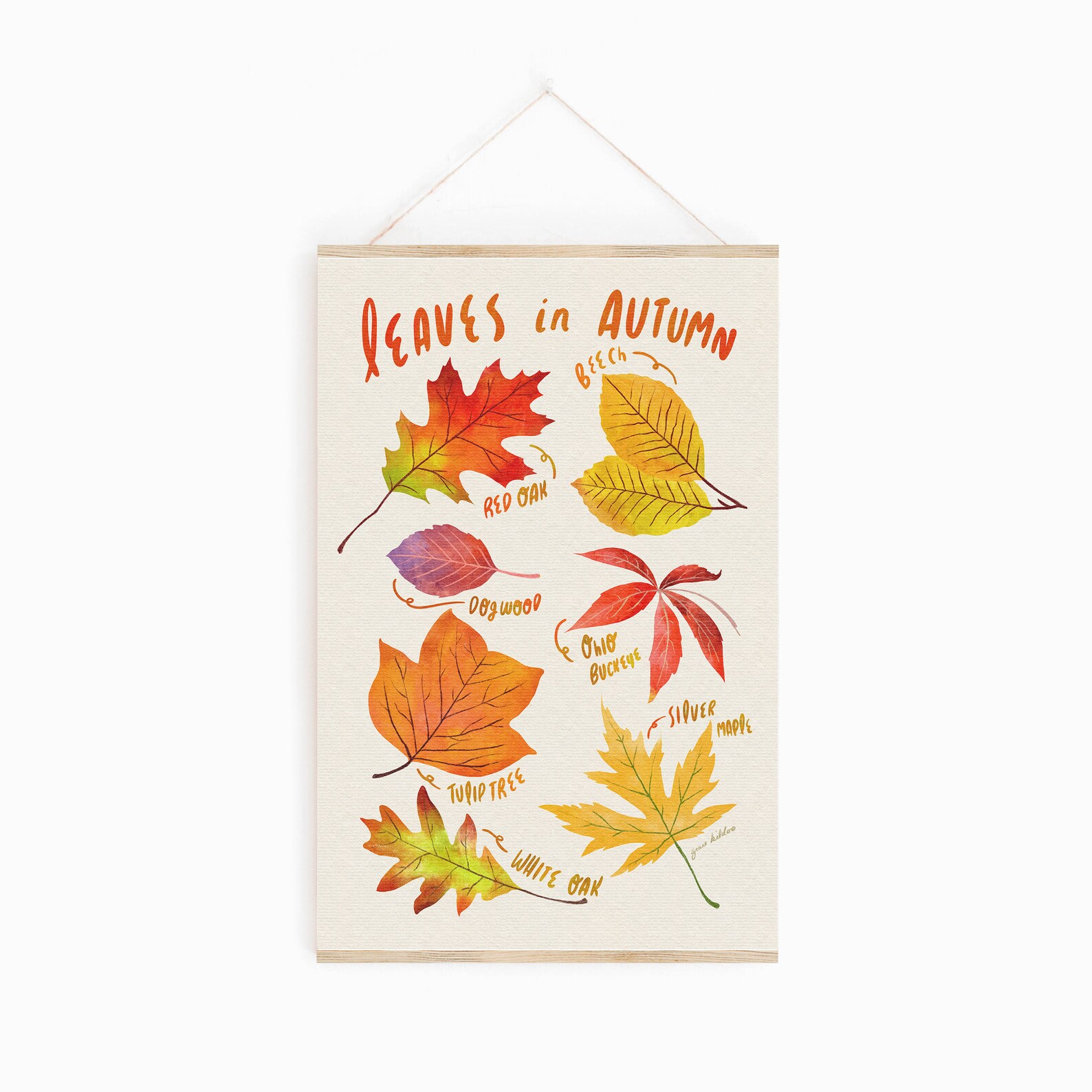 Printable Leaves in Autumn Wall Art | Colorful Leaf Identification ...