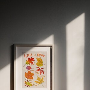 Printable Leaves in Autumn Wall Art | Colorful Leaf Identification ...