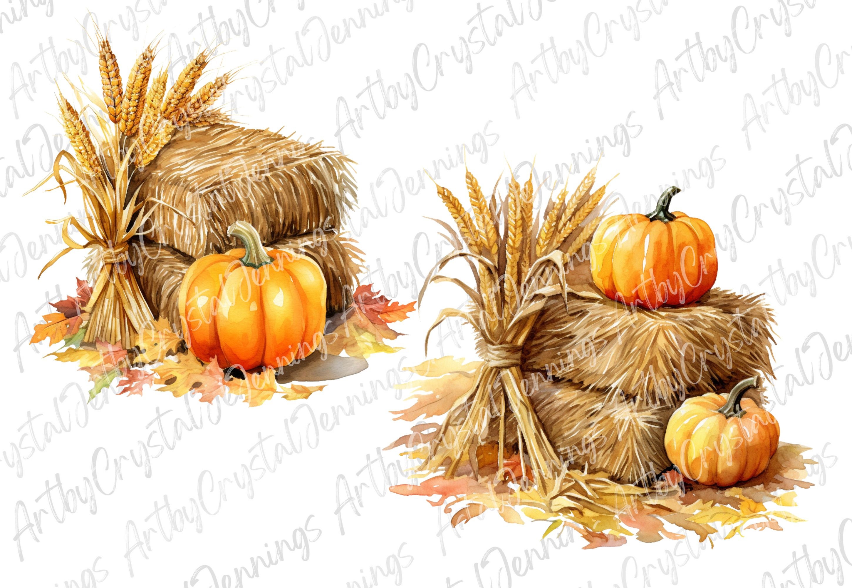 Watercolor Pumpkin Hay Bale PNG: Autumn Thanksgiving Clipart (digital ...