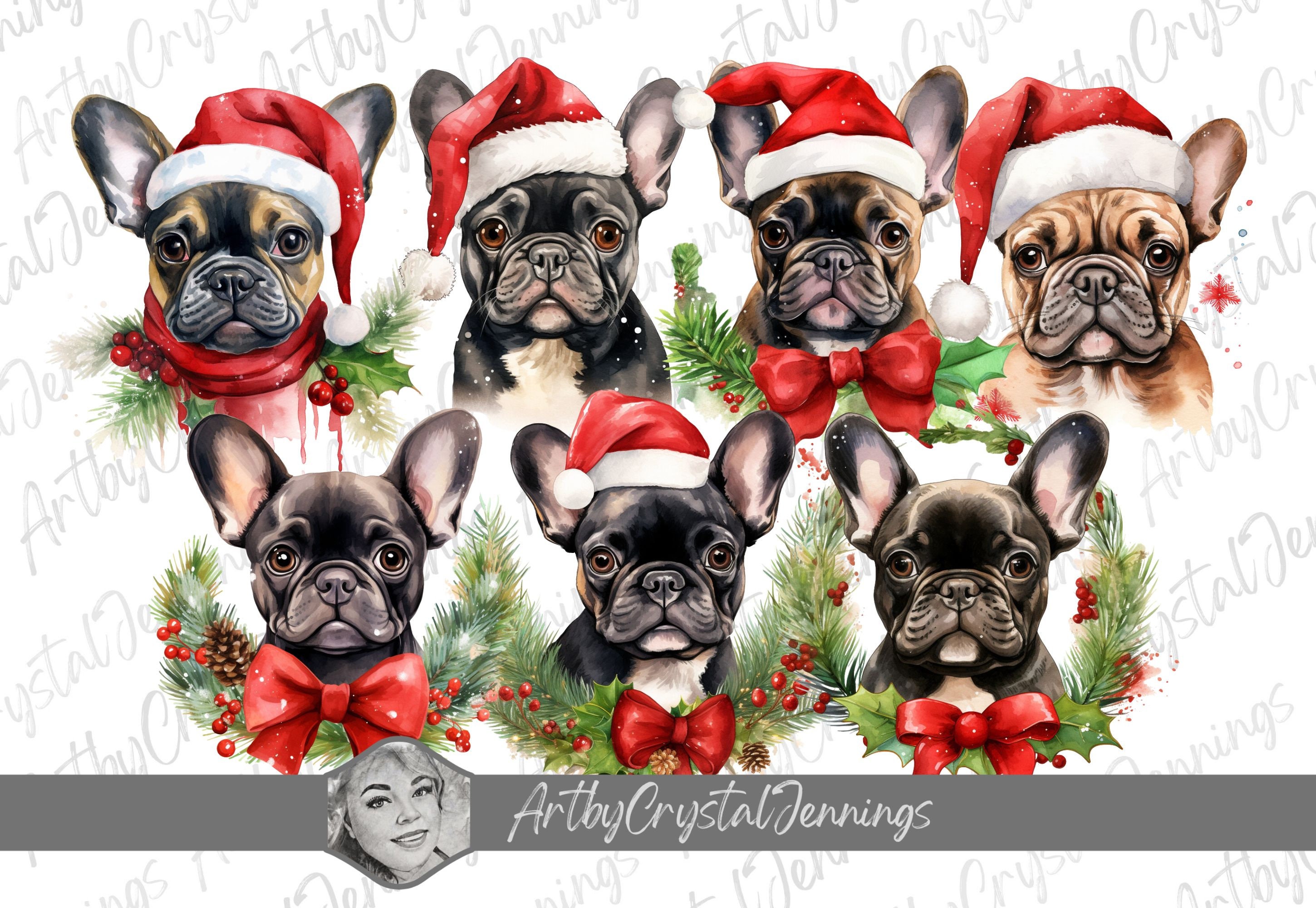 Crying French Bulldog