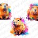 Colorful Capybara Design, Watercolor Animal Instant Download, Capybara ...