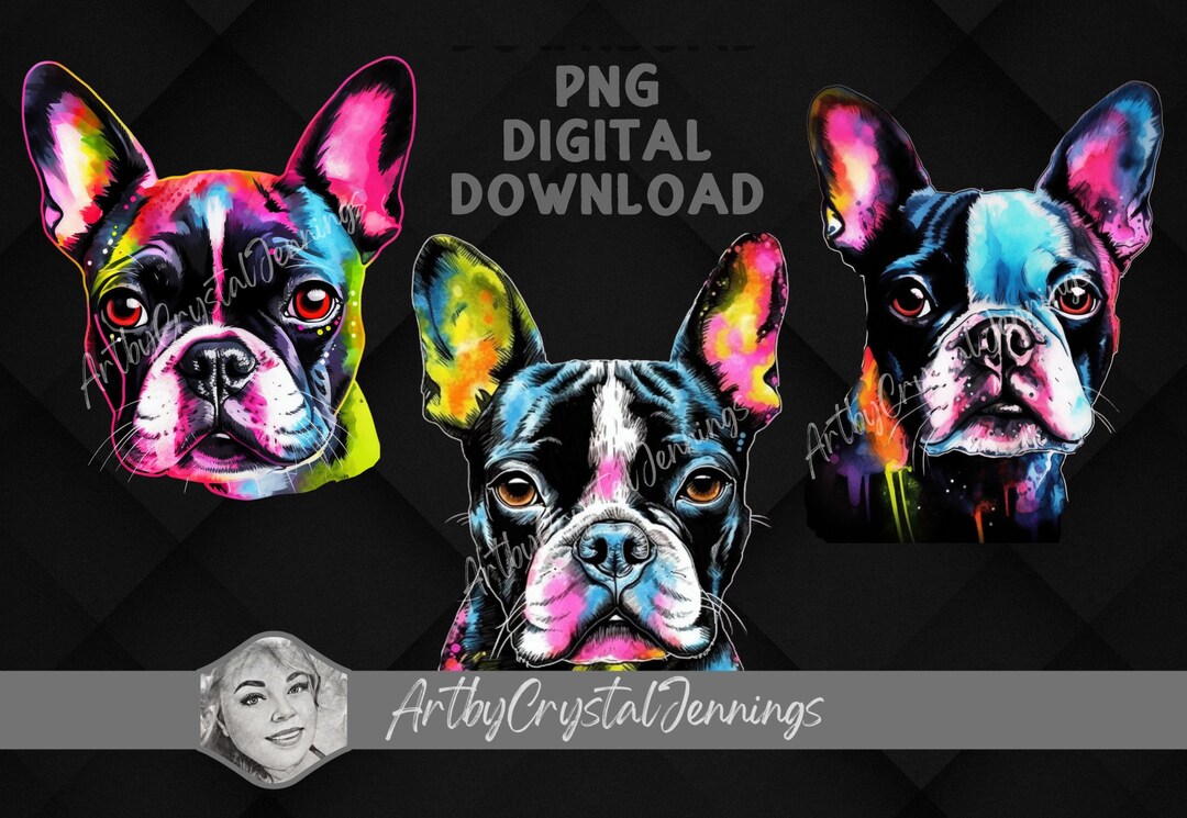 Colorful Boston Terrier PNG: Dog Lover Gift (digital Download) - Etsy