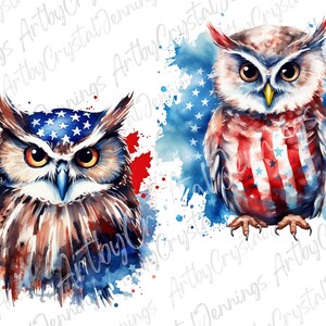 USA Owl, American Bird Instant Download, Patriotic Flag Gift PNG ...