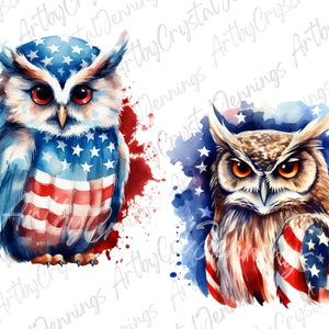 USA Owl, American Bird Instant Download, Patriotic Flag Gift PNG ...