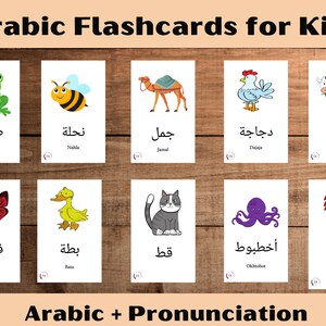 30 Arabic Vocabulary Animals Flashcards, Arabic Pronunciation, Arabic ...