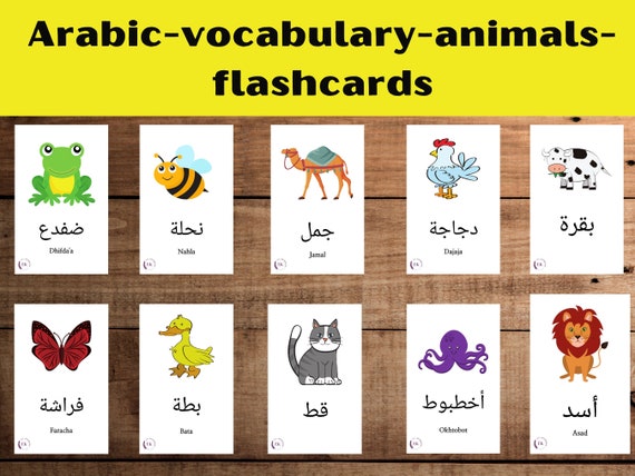 30 Arabic Vocabulary Animals Flashcards Arabic Pronunciation | Etsy