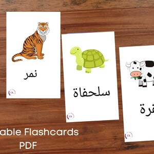 30 Arabic Vocabulary Animals Flashcards, Arabic Pronunciation, Arabic ...