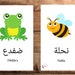 30 Arabic Vocabulary Animals Flashcards, Arabic Pronunciation, Arabic ...