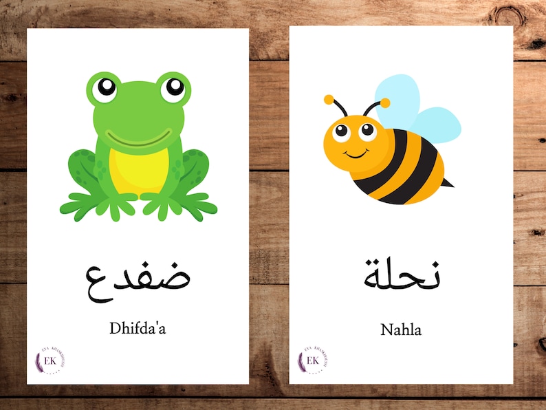 30 Arabic Vocabulary Animals Flashcards, Arabic Pronunciation, Arabic ...
