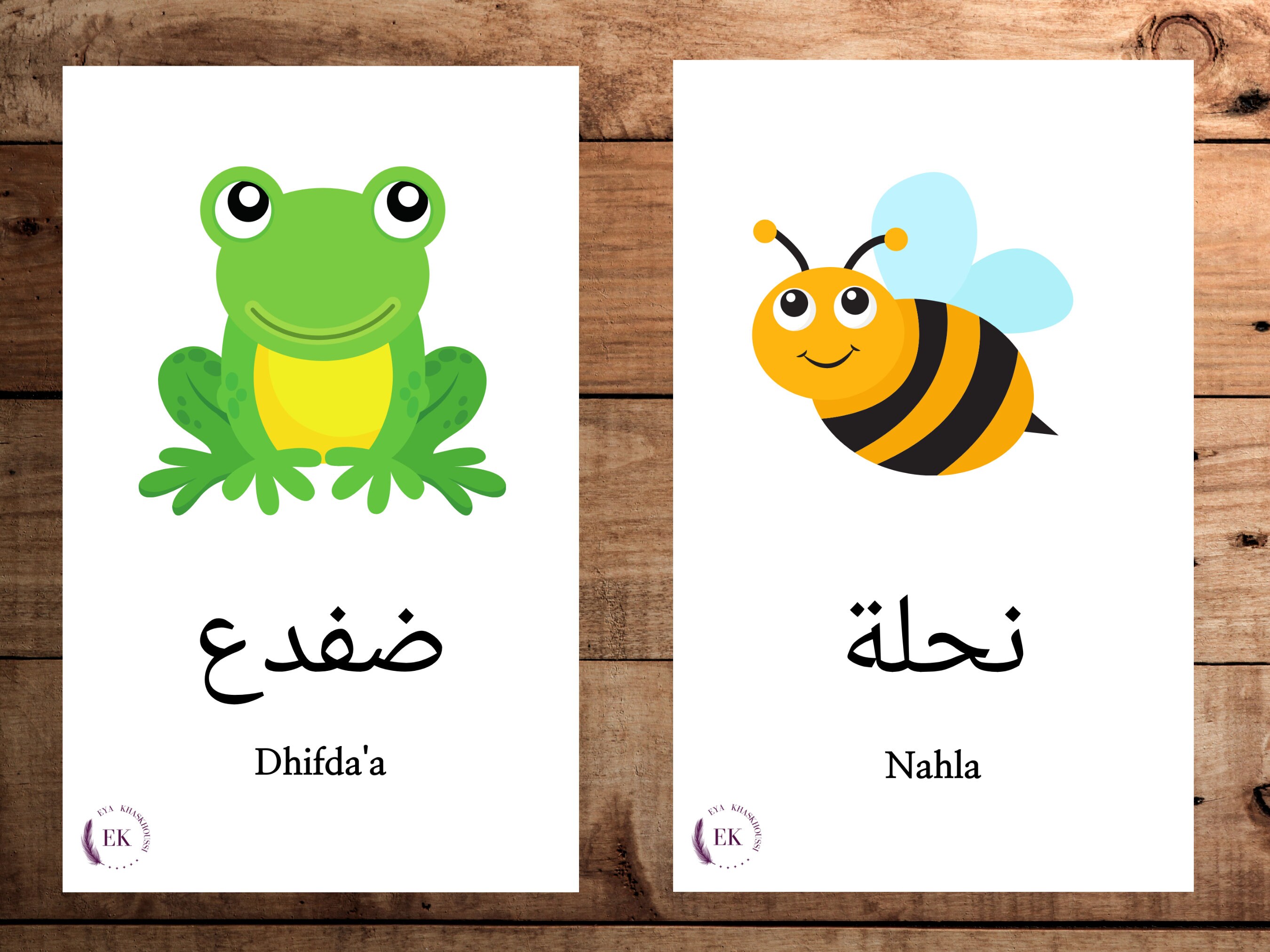 30 Arabic Vocabulary Animals Flashcards, Arabic Pronunciation, Arabic ...