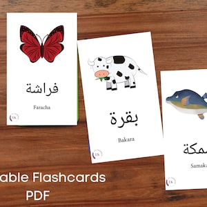 30 Arabic Vocabulary Animals Flashcards, Arabic Pronunciation, Arabic ...