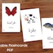 30 Arabic Vocabulary Animals Flashcards, Arabic Pronunciation, Arabic ...