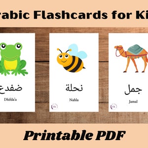 30 Arabic Vocabulary Animals Flashcards, Arabic Pronunciation, Arabic ...
