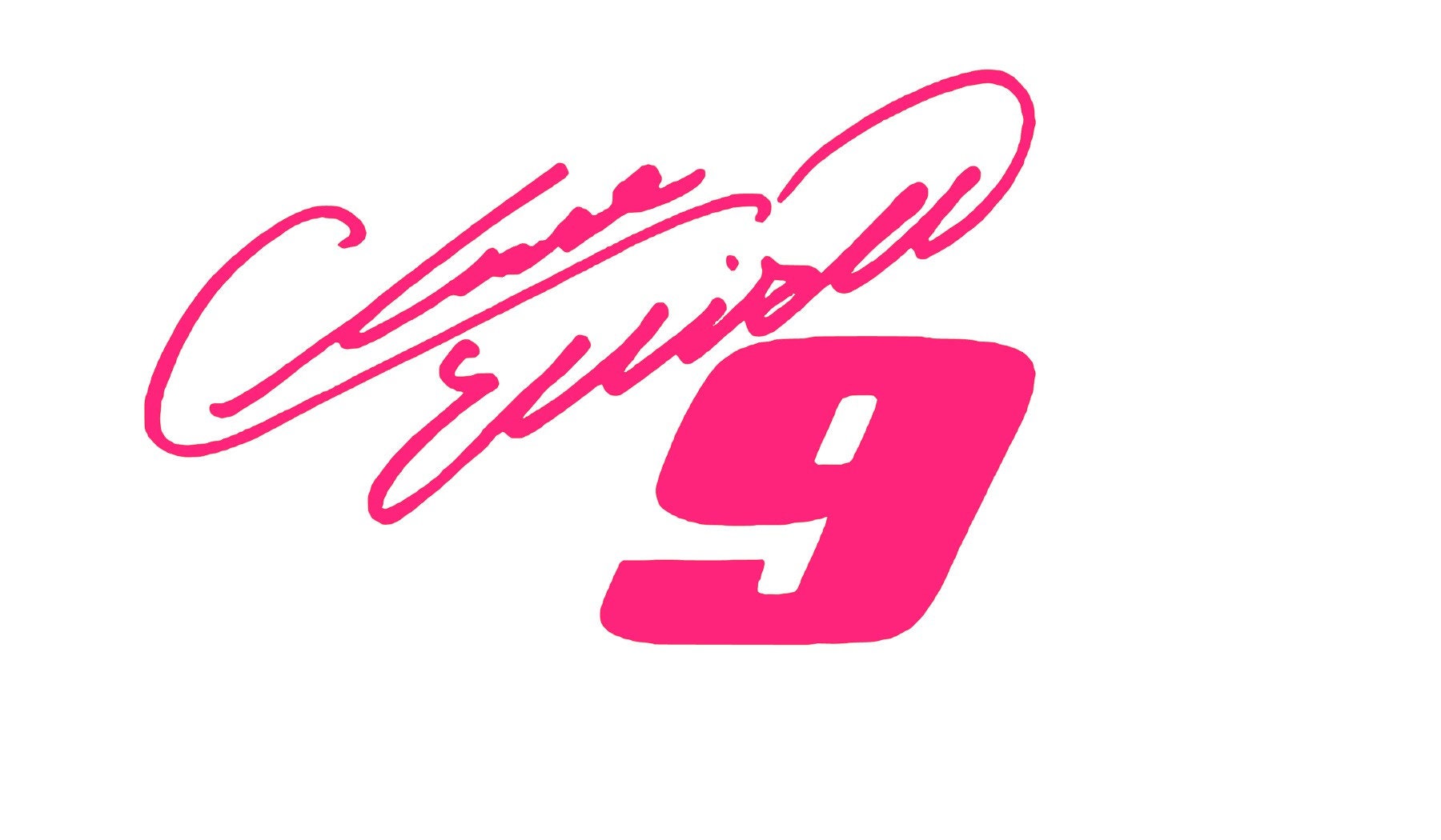 Chase Elliot 9 Decal, Car Decal, Can Be Used for Cut File, Layers - Etsy