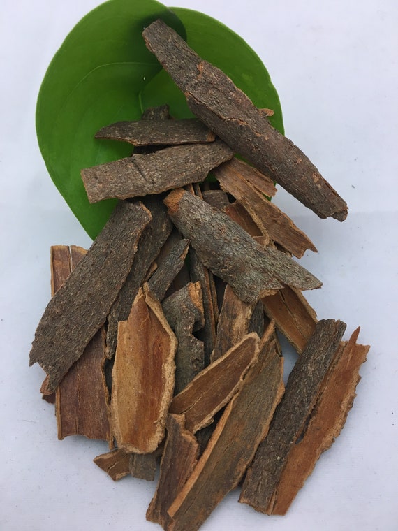 Cinnamon Tree Bark