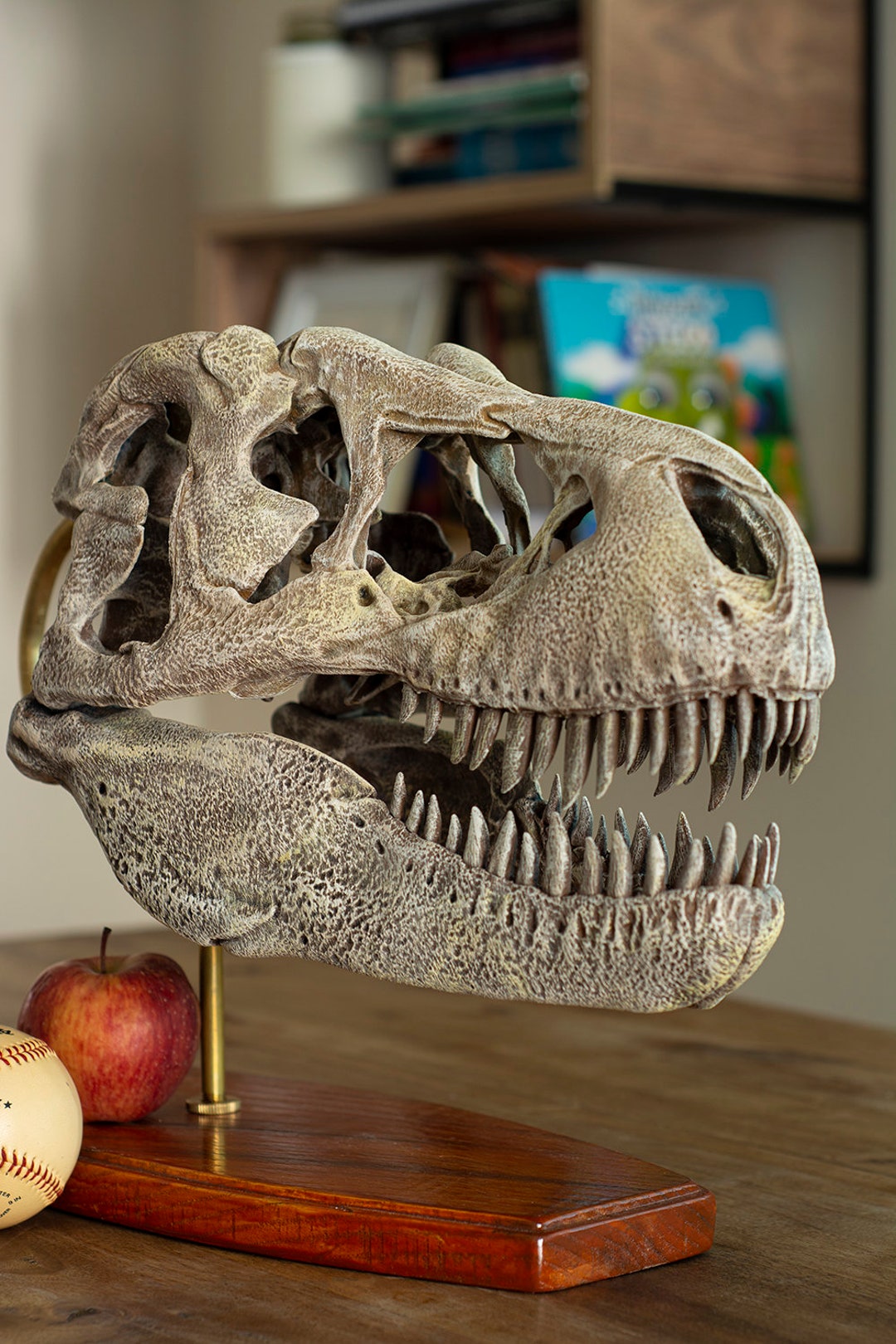 Tyrannosaurus Skull Fossil Replica Real Scan, Museum Quality T-rex ...