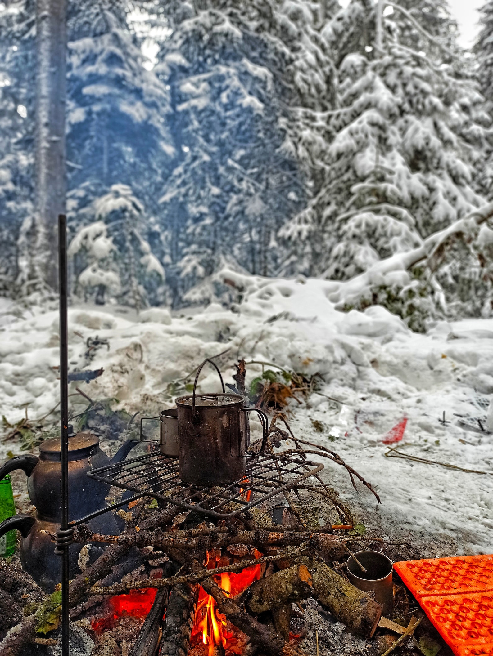 Large Multi-arm Bushcraft Grill / 2 Swing Arm, 1 Pot Holder and Grill ...