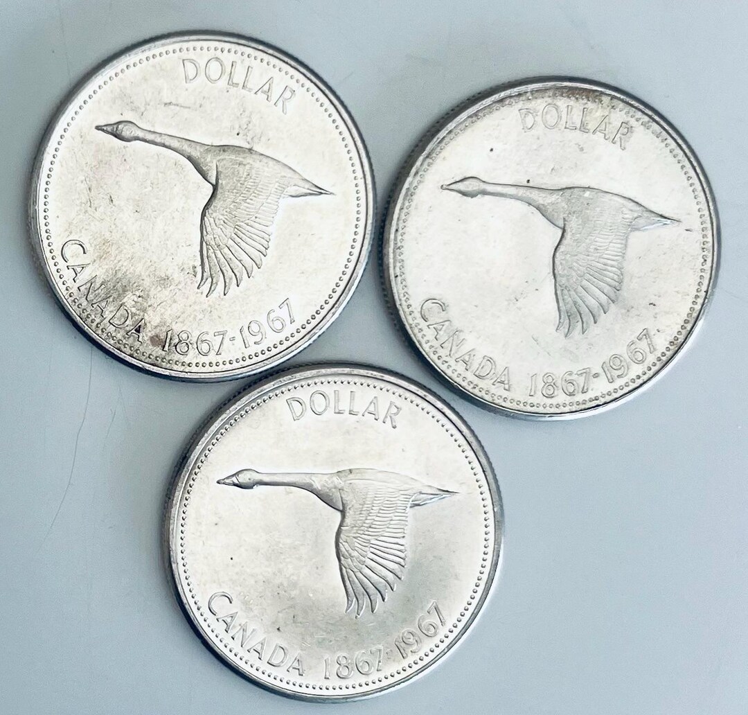 Canada 1967 Centennial Goose Silver Dollar Set of 3 Coins - Etsy