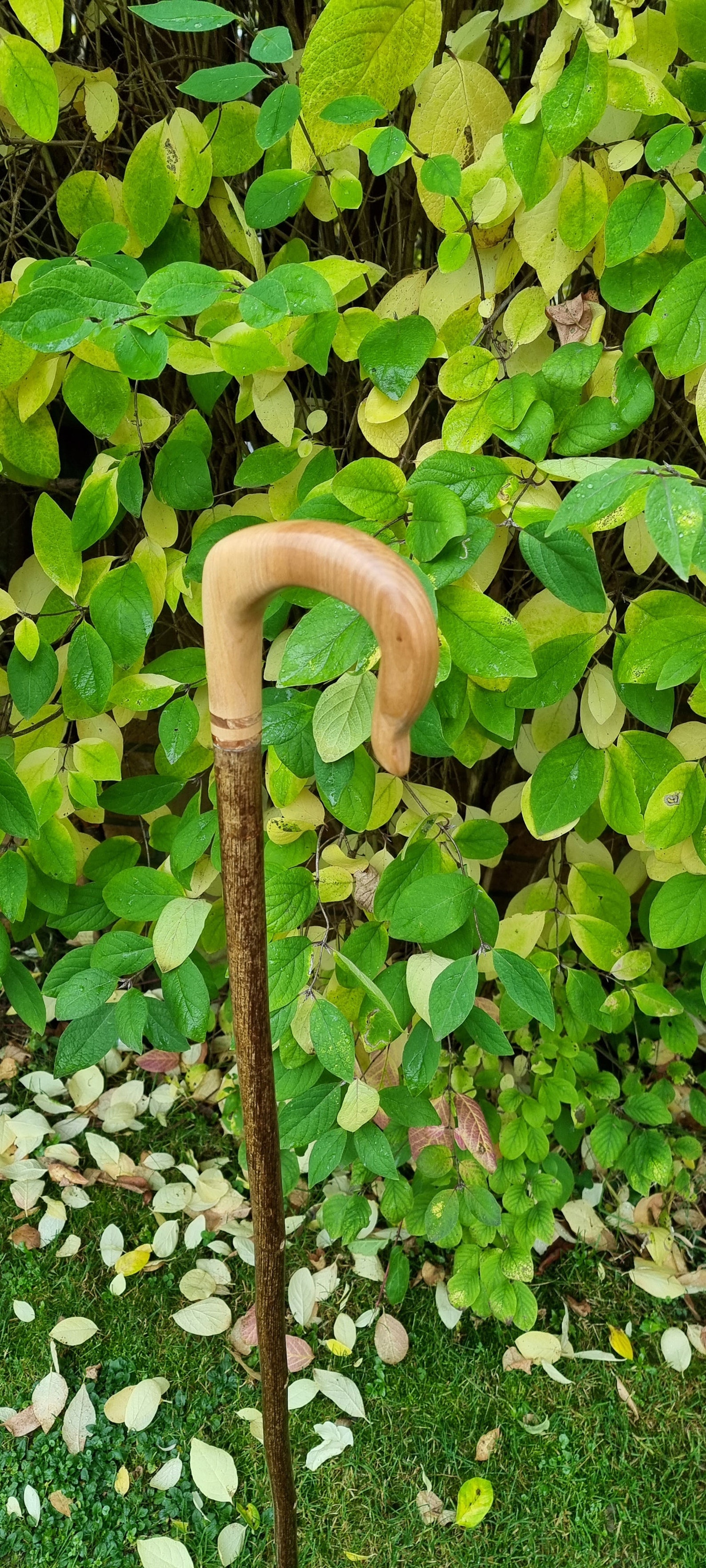 Resin Shepherds Crooks / Walking Sticks - Etsy