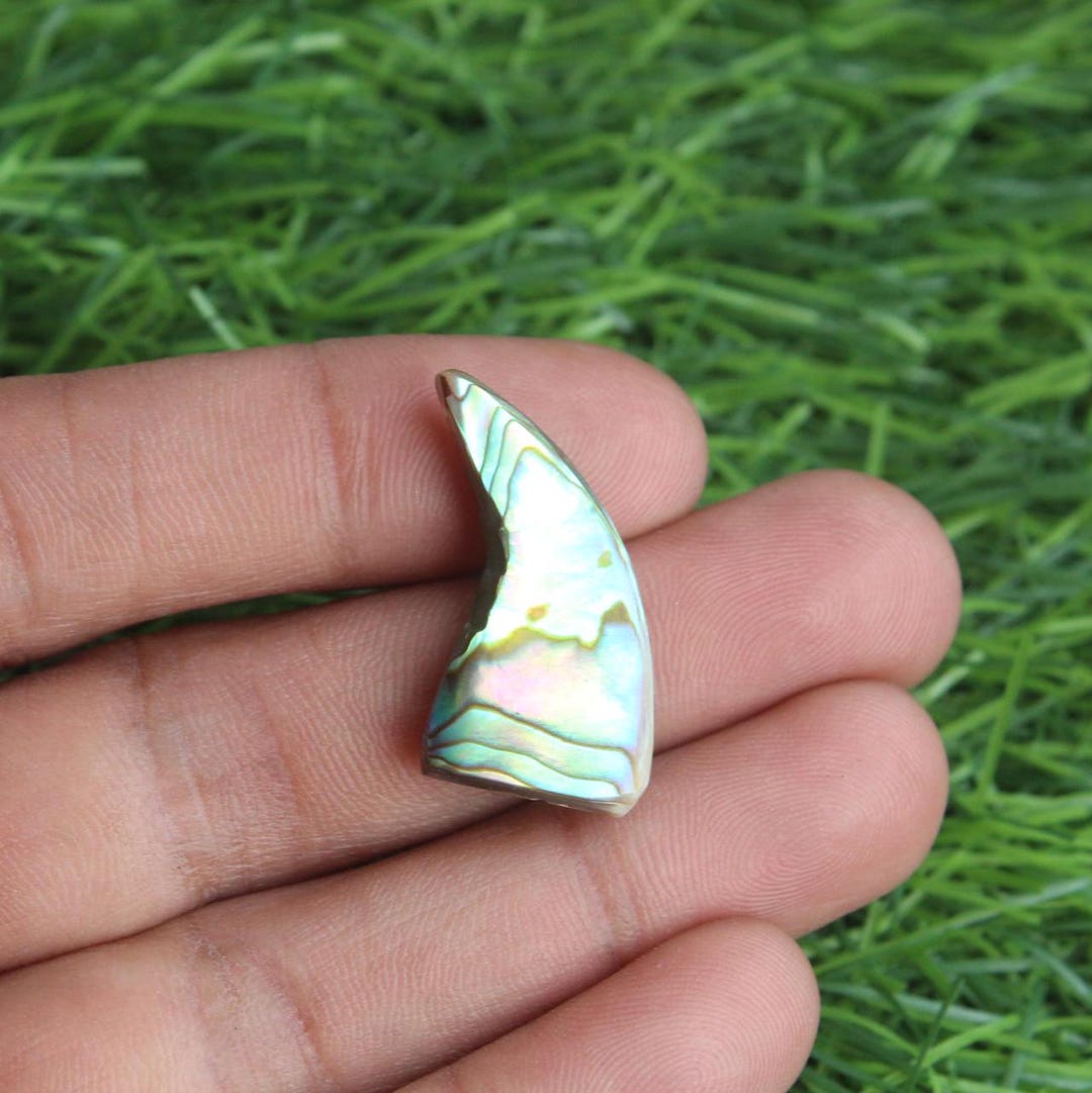 Natural Abalone Shell, Abalone Shell Fancy Shape, Abalone 24X14X4 MM ...