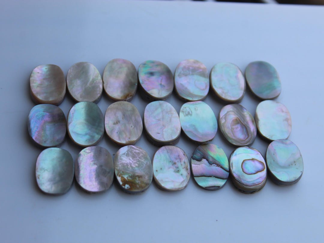 Natural Abalone Shell, Abalone Shell Oval Shape Abalone Shell 16X12 MM ...
